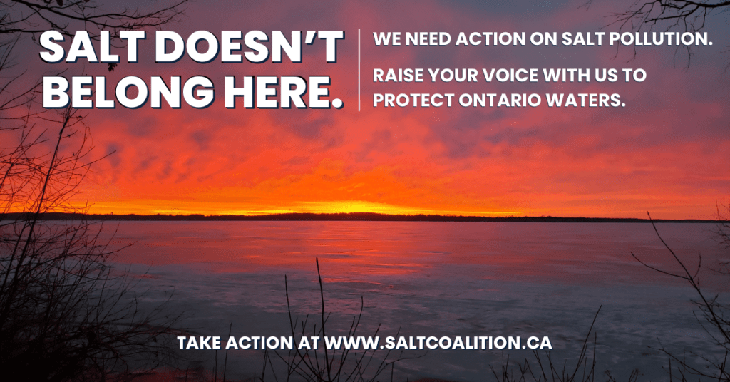 Salt Pollution - Rescue Lake Simcoe Coalition